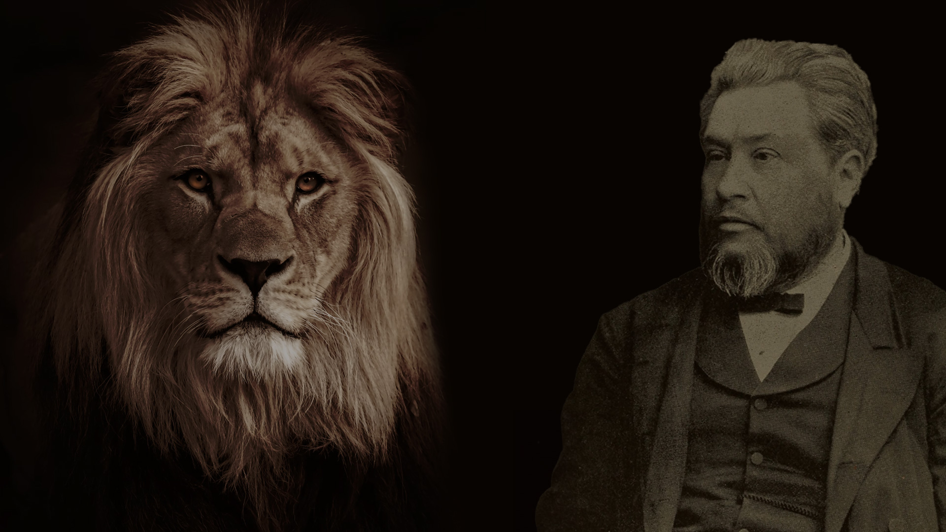 One Lion; Two Lions; No Lion at All - A Spurgeon Sermon